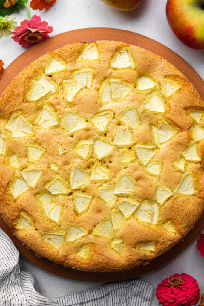 Easy Apple Sponge Cake (Sharlotka) - Veronika's Kitchen